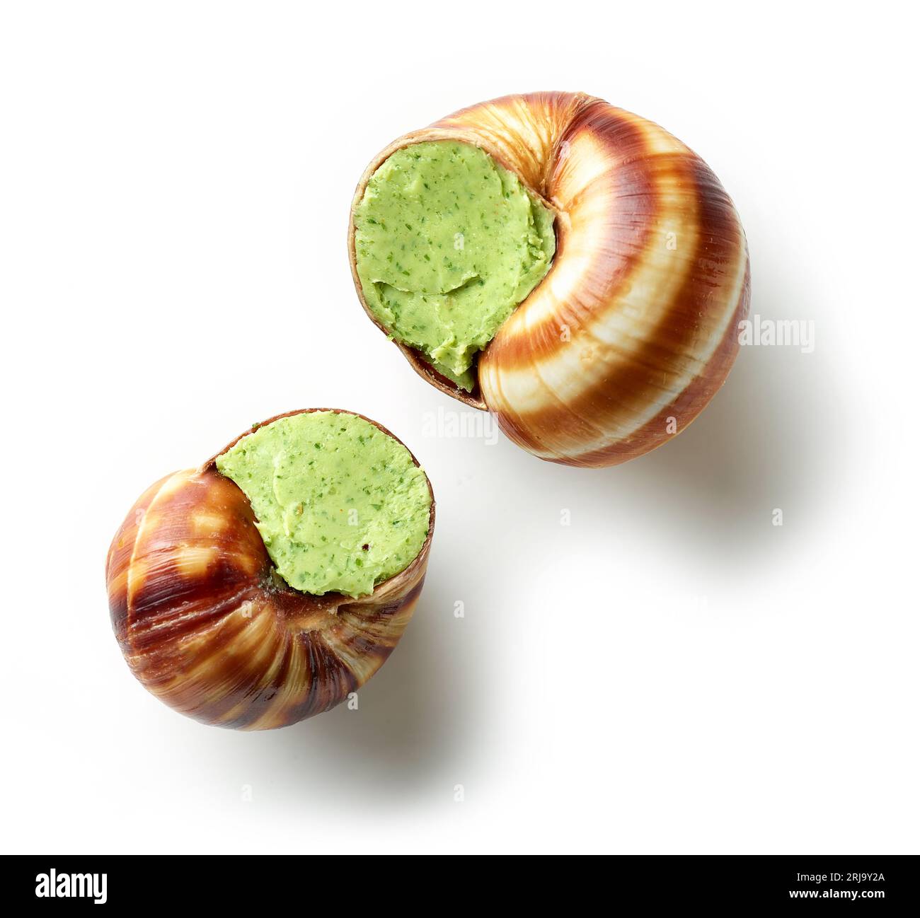 escargot snail filled with garlic and parsley butter isolated on white ...