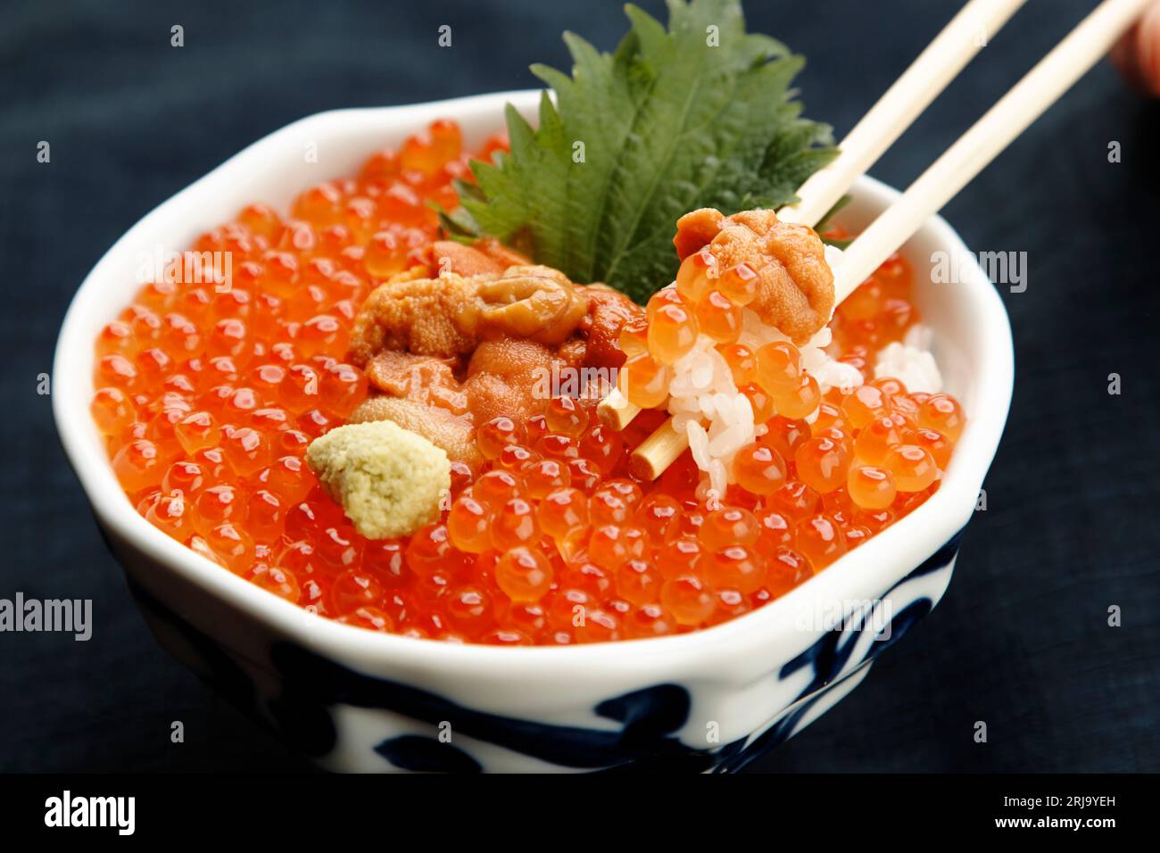 Salmon roe and sea urchin bowl Stock Photo - Alamy