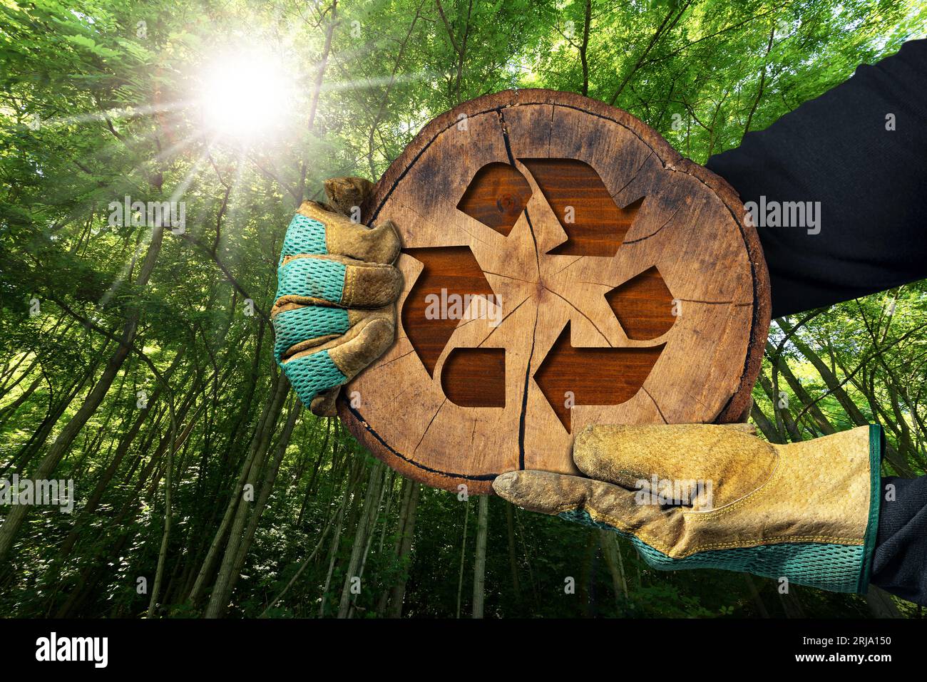 Sustainable Resources and Zero Waste concept. Gloved hands holding a ...