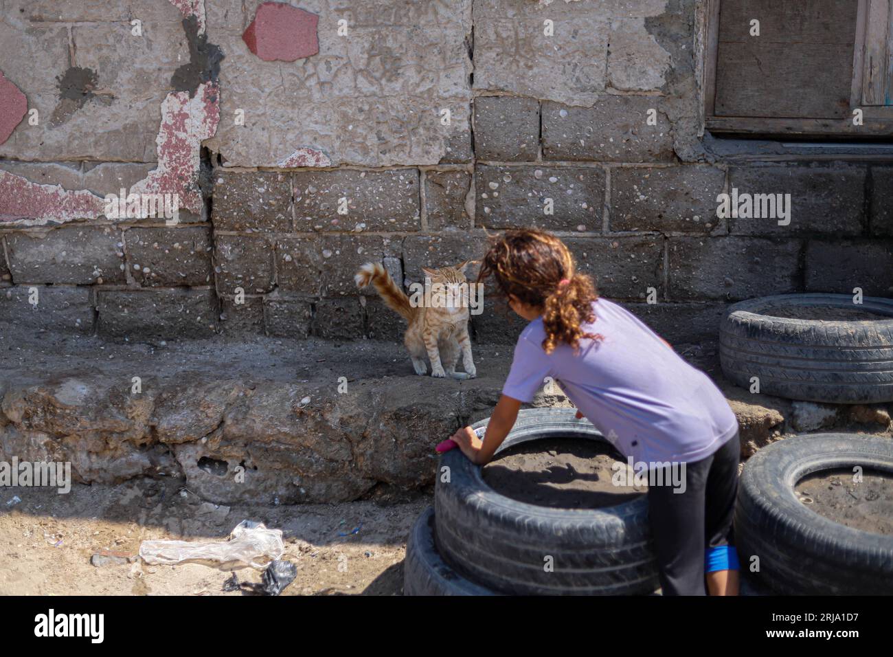 Al shati camp hi-res stock photography and images - Alamy