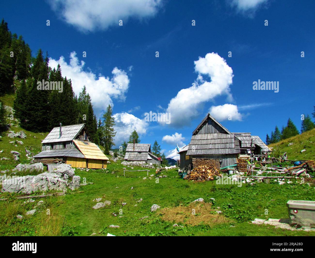 Idyllic mountain pasture of Visevnik with traditional wooden huts in ...