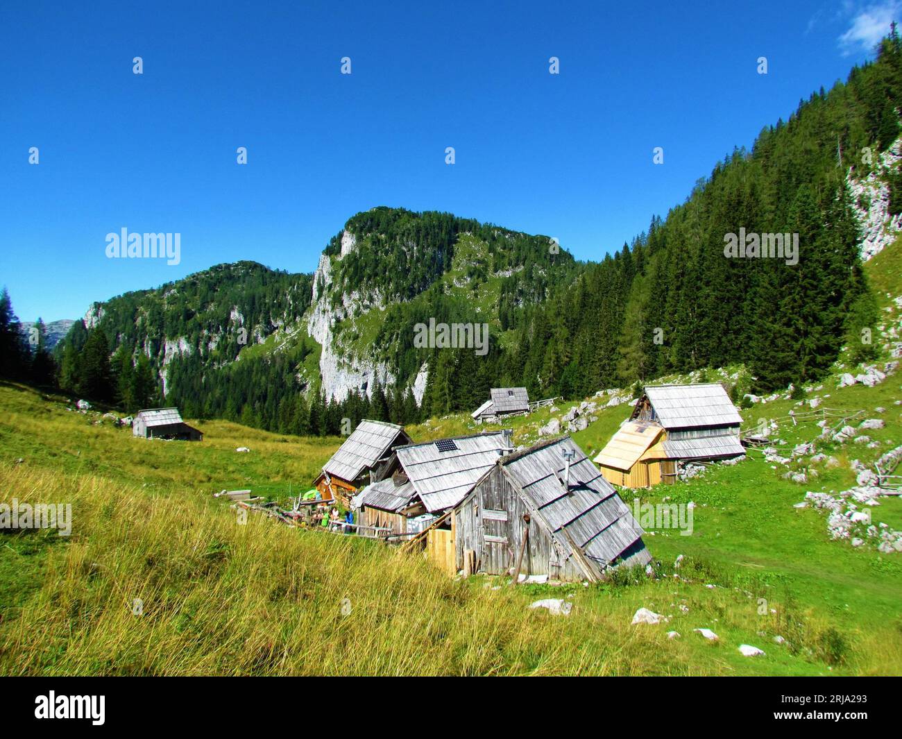 Idyllic mountain pasture of Visevnik with traditional wooden huts in ...