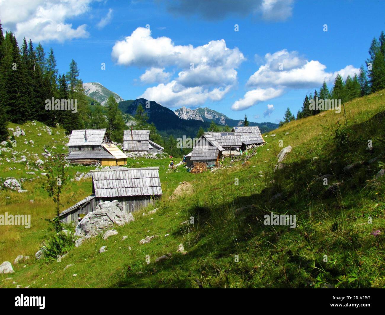 Idyllic mountain pasture of Visevnik with traditional wooden huts in ...