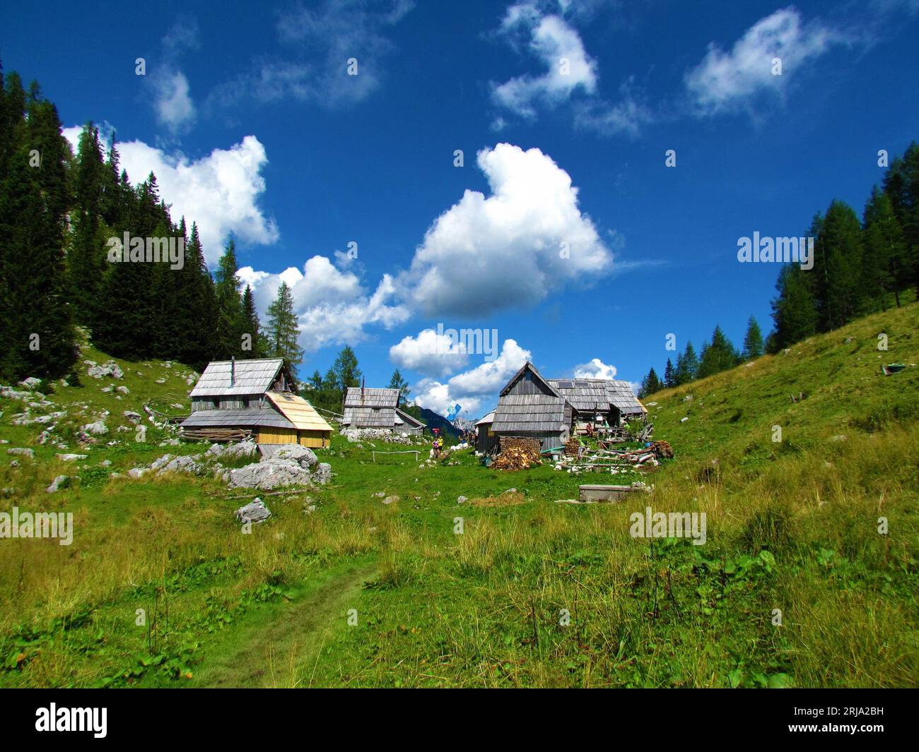 Idyllic mountain pasture of Visevnik with traditional wooden huts in ...