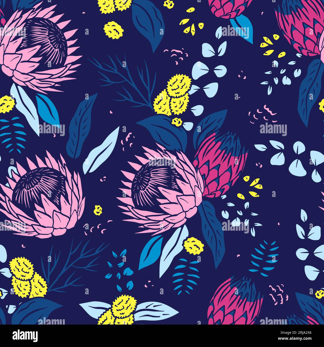 Protea flowers blue background Stock Vector Images - Alamy