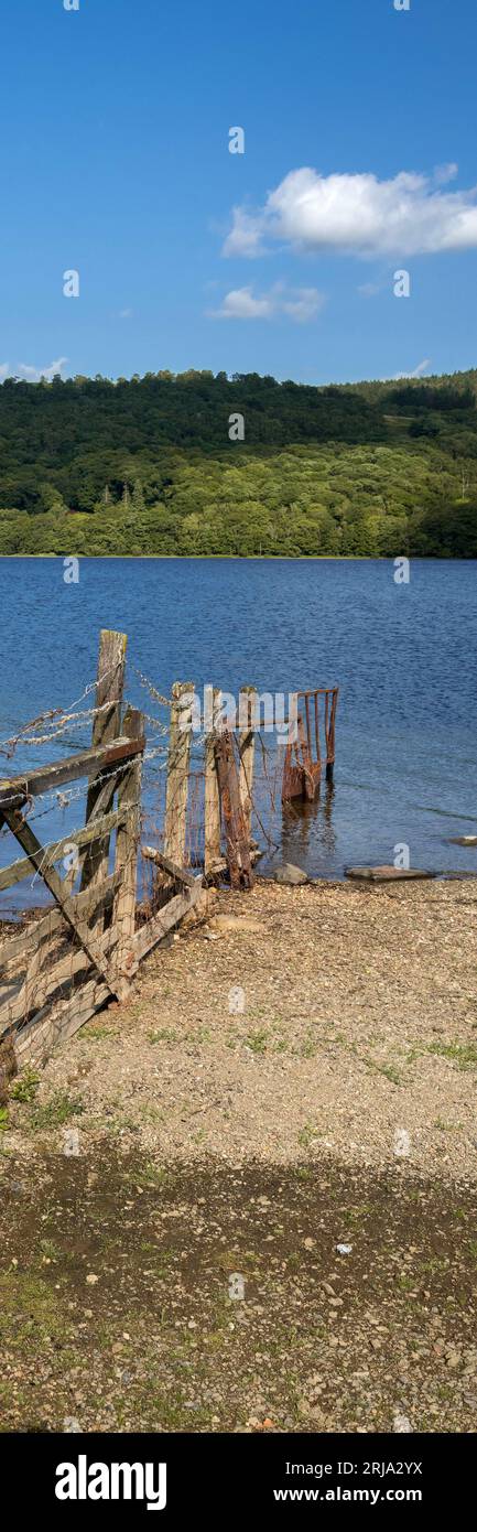 Lake coniston, cumbria swimming hi-res stock photography and images - Alamy