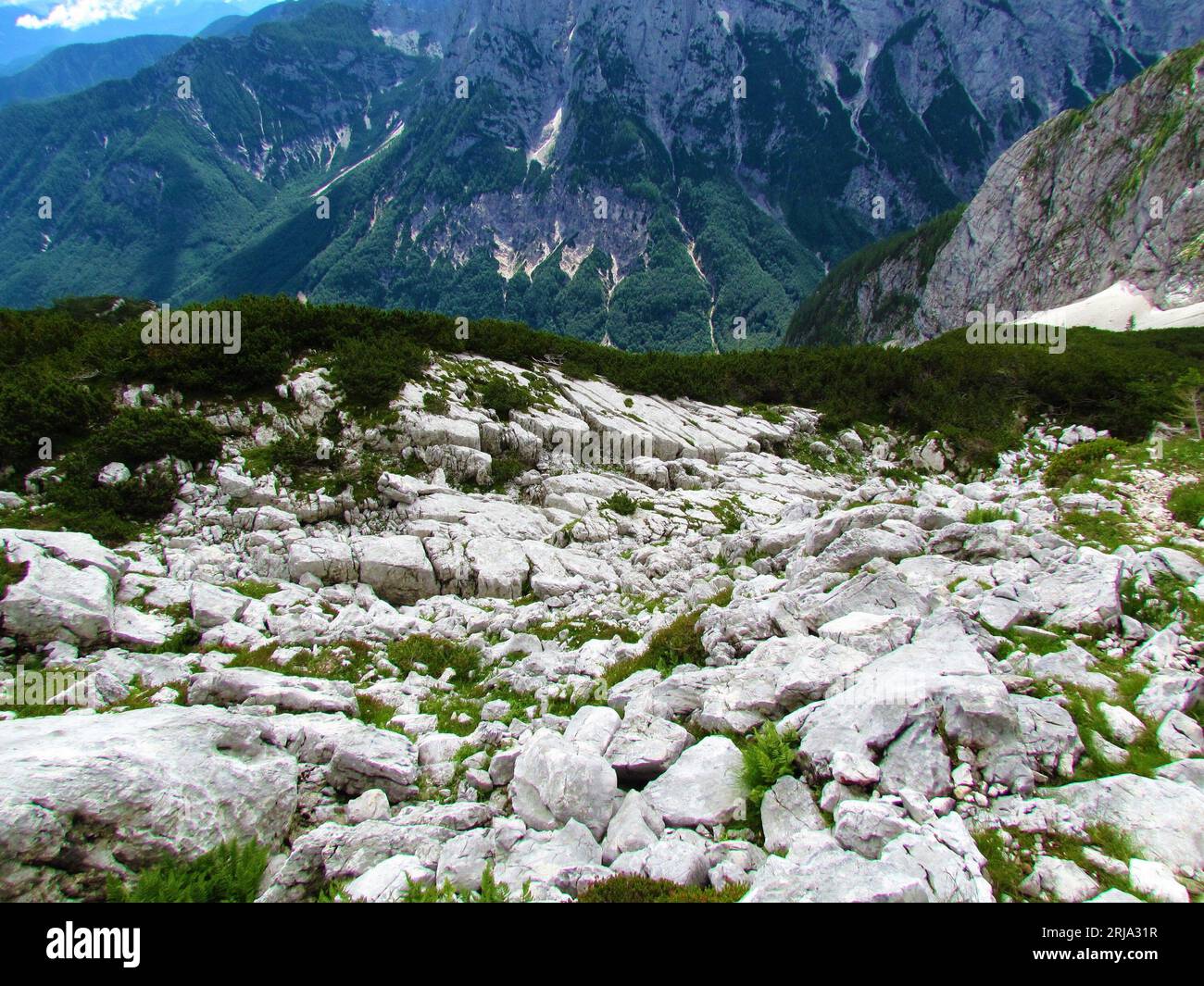 Limestone rock mountain karst formation in Julian alps and Triglav ...