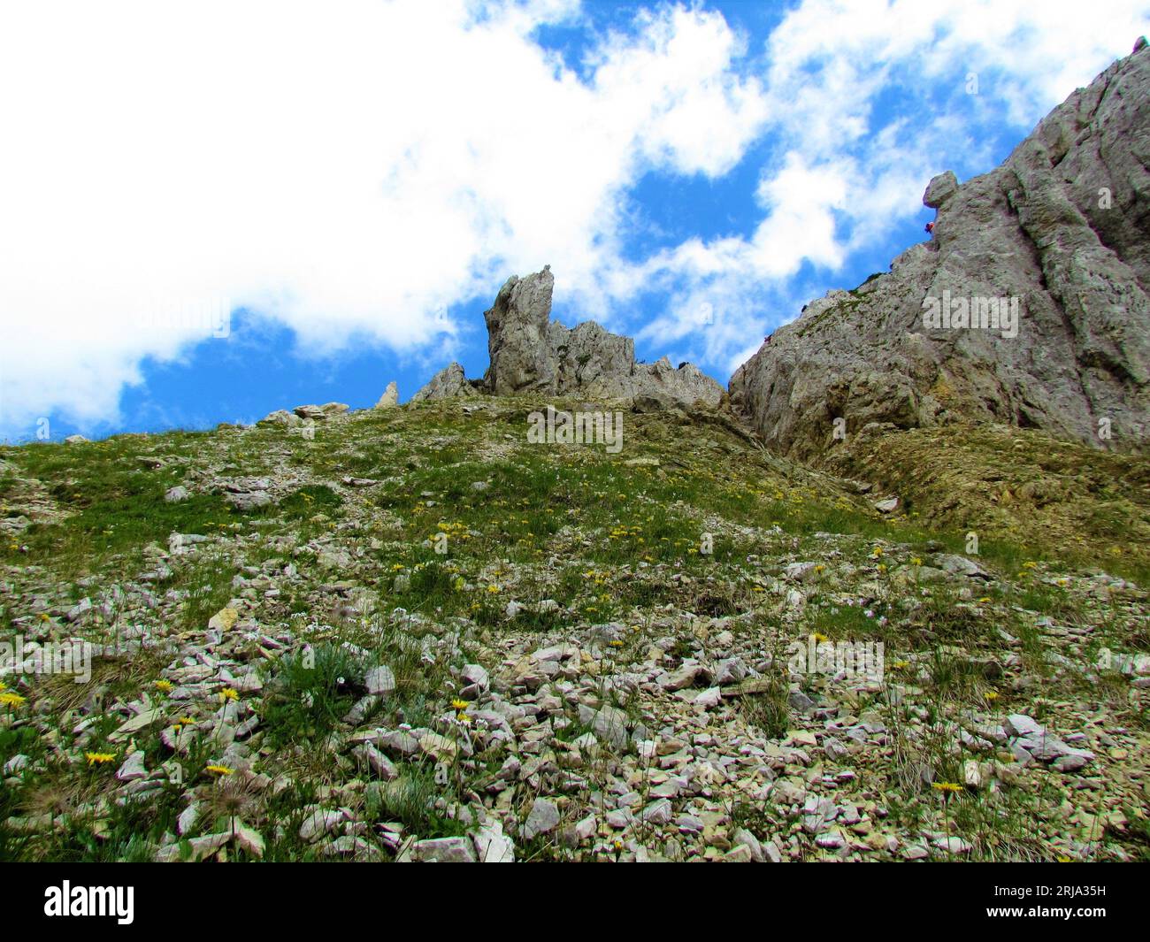 Mountain slope covered in rock rubble and yellow flowers with a sharp ...