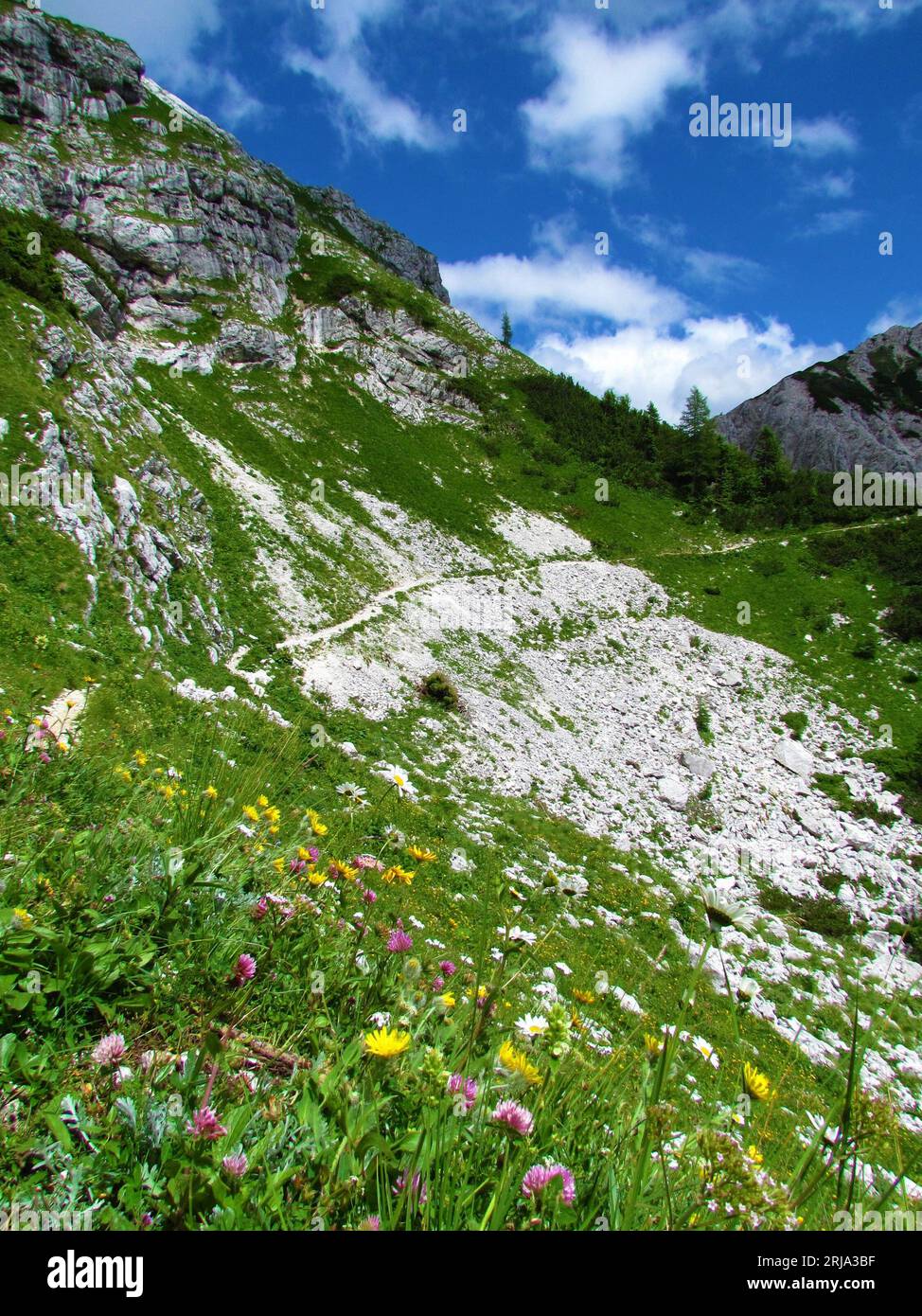 Alpine landscape with a scree and meadows with a path leading past in ...