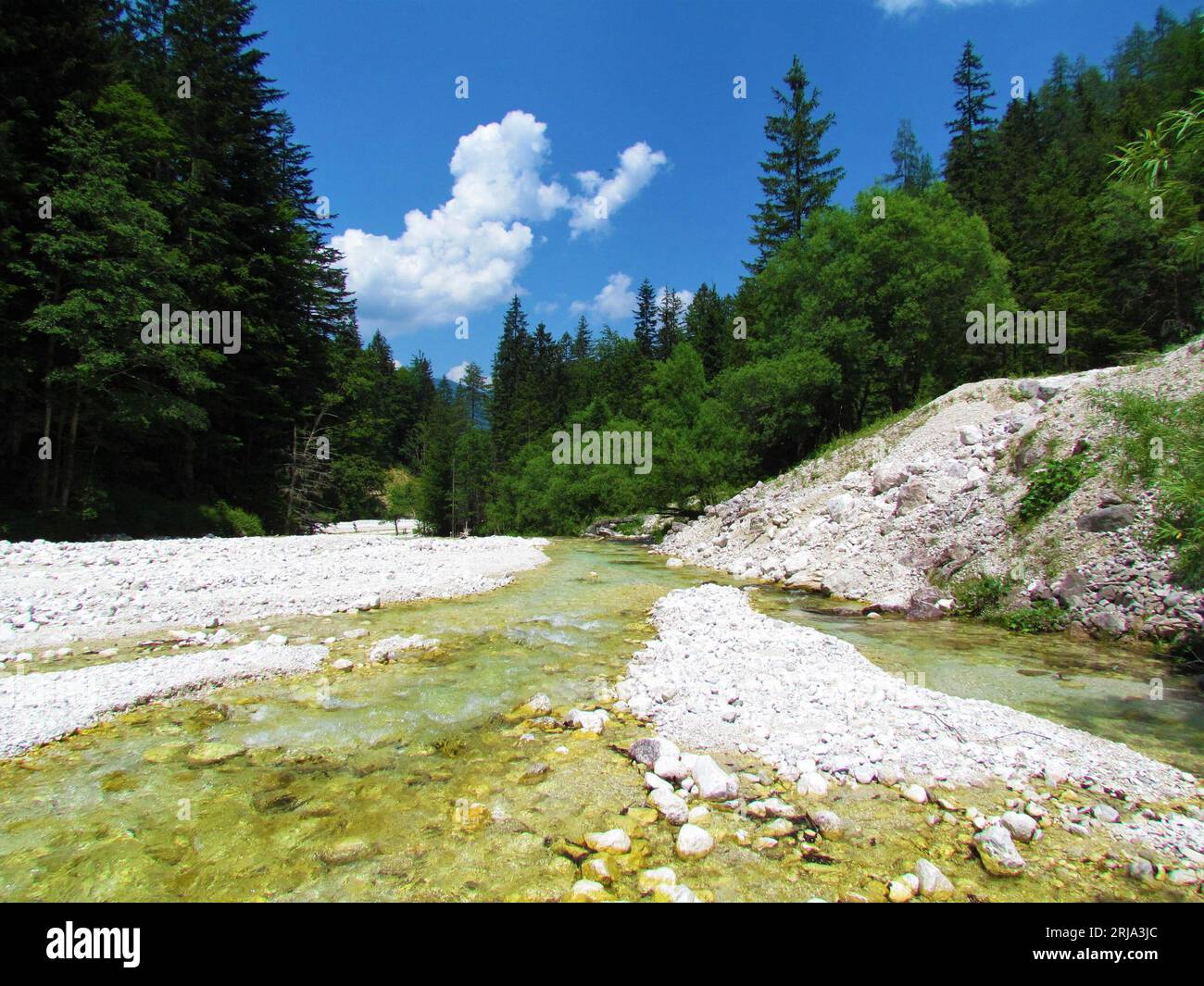 Krnica creek in Julian alps and Triglav national park in Slovenia ...