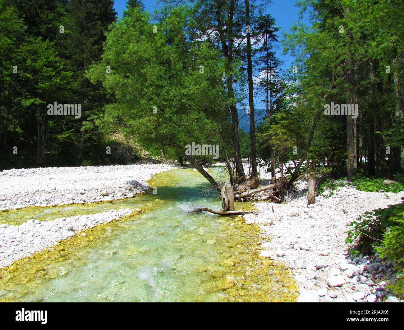Krnica creek in Julian alps and Triglav national park in Slovenia with ...