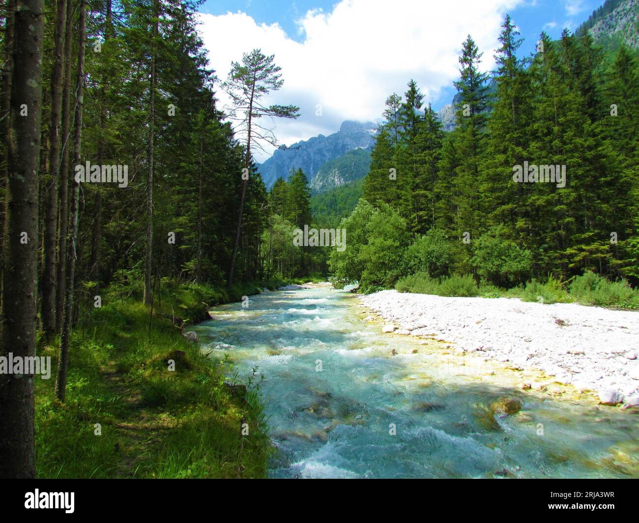 Scenic Triglavska Bistrica river in Vrata valley in Gorenjska, Slovenia ...