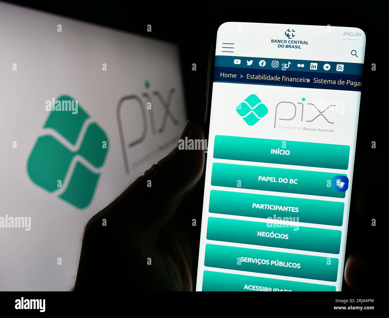 Person holding smartphone with website of Brazilian instant payment ...