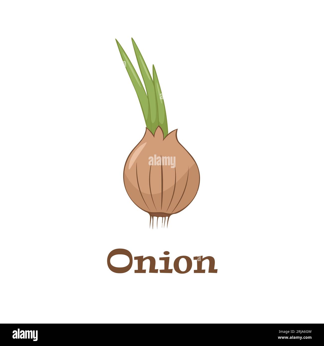 Onion Flat simple design. Vector illustration of organic farm fresh ...