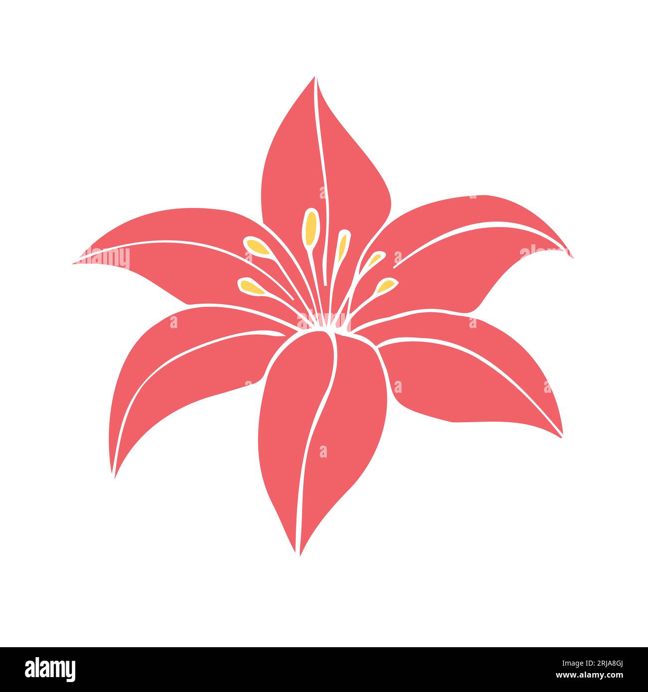 Vector hand drawn doodle sketch colored Lilly flower isolated on white ...