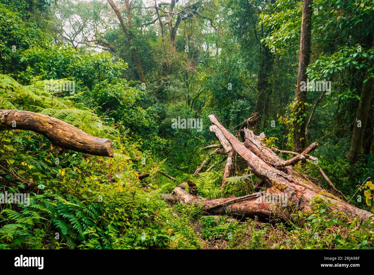 Indigenous reserves hi-res stock photography and images - Alamy
