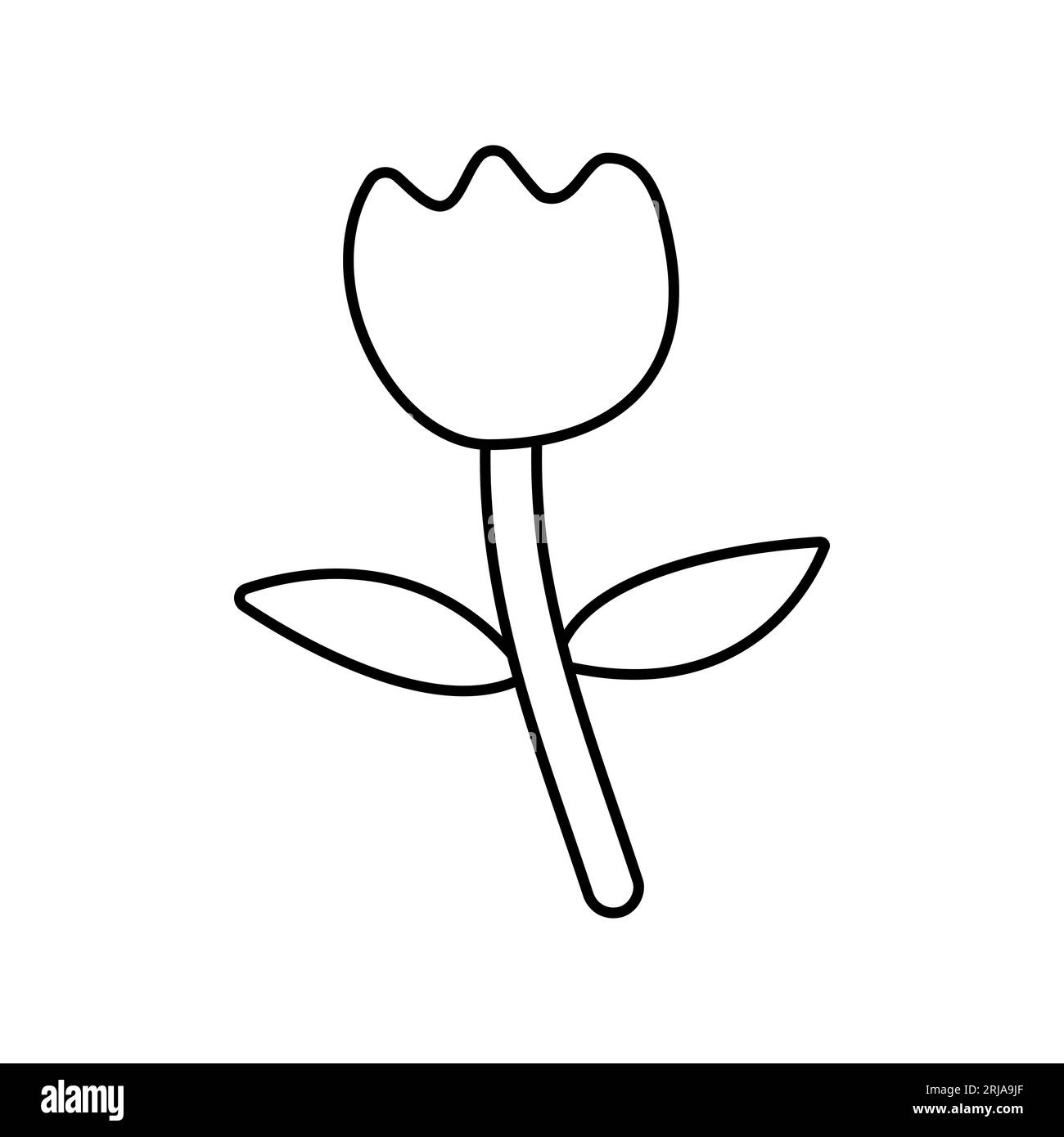 Vector hand drawn doodle flat outline tulip flower isolated on white ...