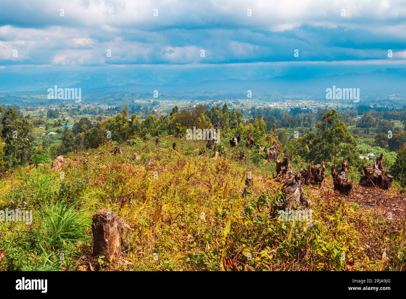 African landscapes with acacia trees and maize farms in Mporoto Range ...