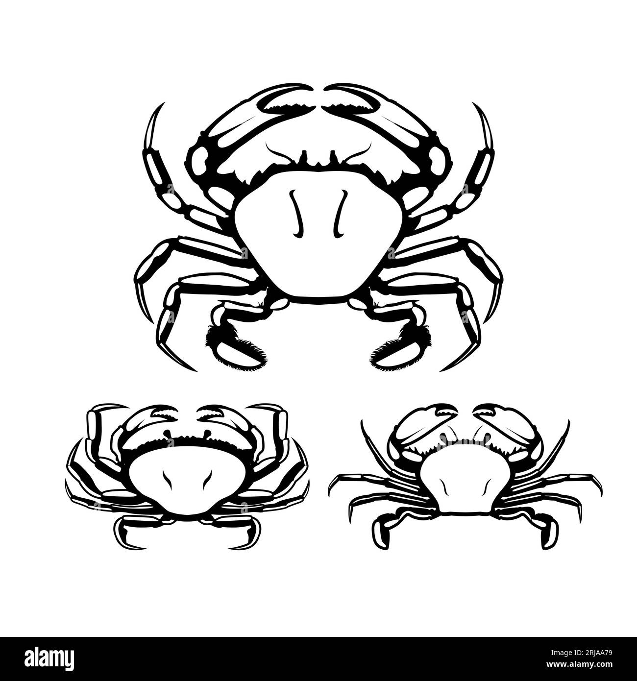 Crab Seafood Set Vector Design Stock Vector Image & Art - Alamy Crab Seafood Set Vector Design Stock Vector Image & Art - Alamy