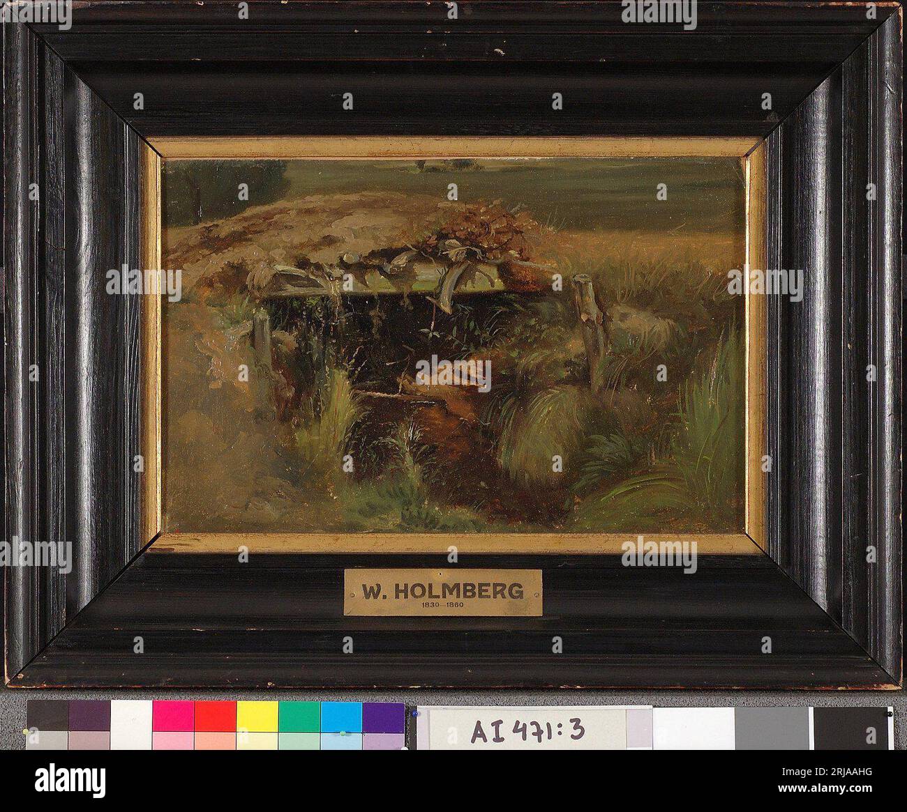 A bridge over a ditch, exercise 1854 by Werner Holmberg Stock Photo - Alamy