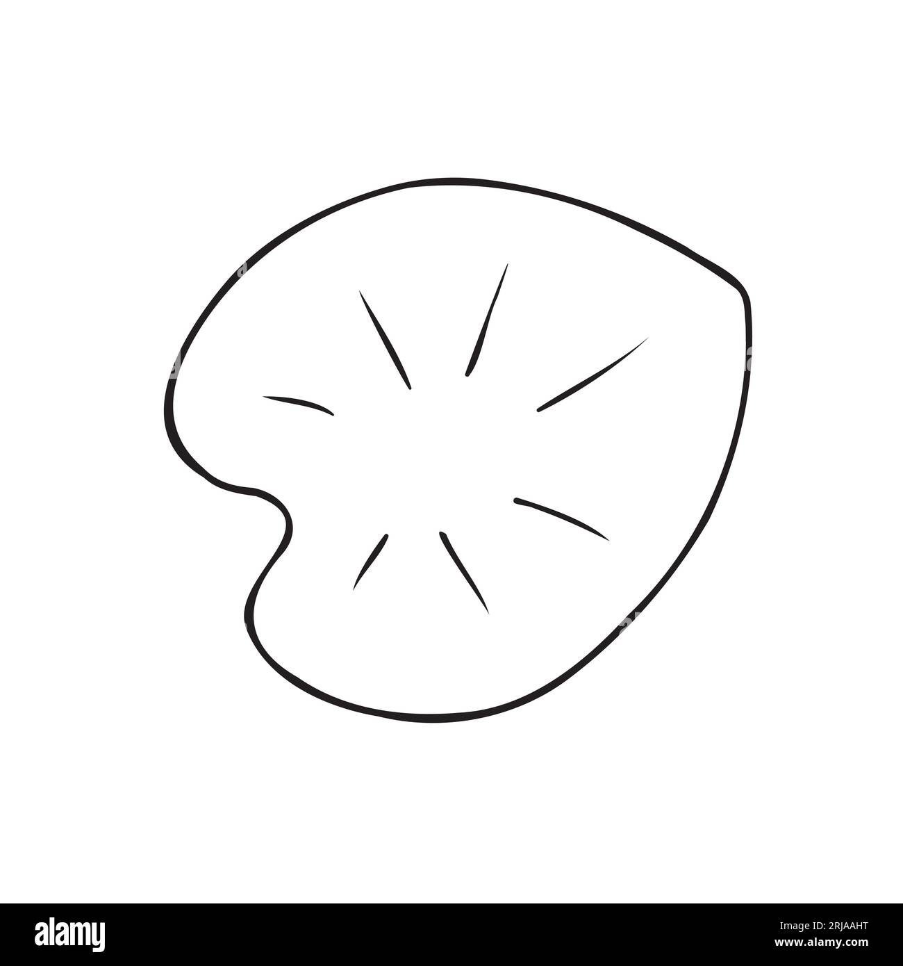 Vector hand drawn doodle sketch water lily leaf isolated on white background Stock Vector Image ...