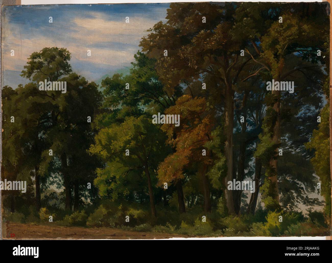 Landscape in Germany, Study by Werner Holmberg Stock Photo - Alamy