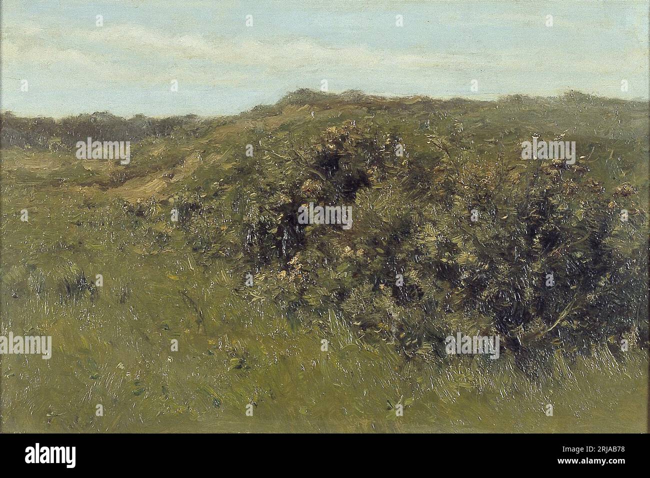 Dune landscape with shrubberies 1850 by Johannes Hubertus Leonardus de ...