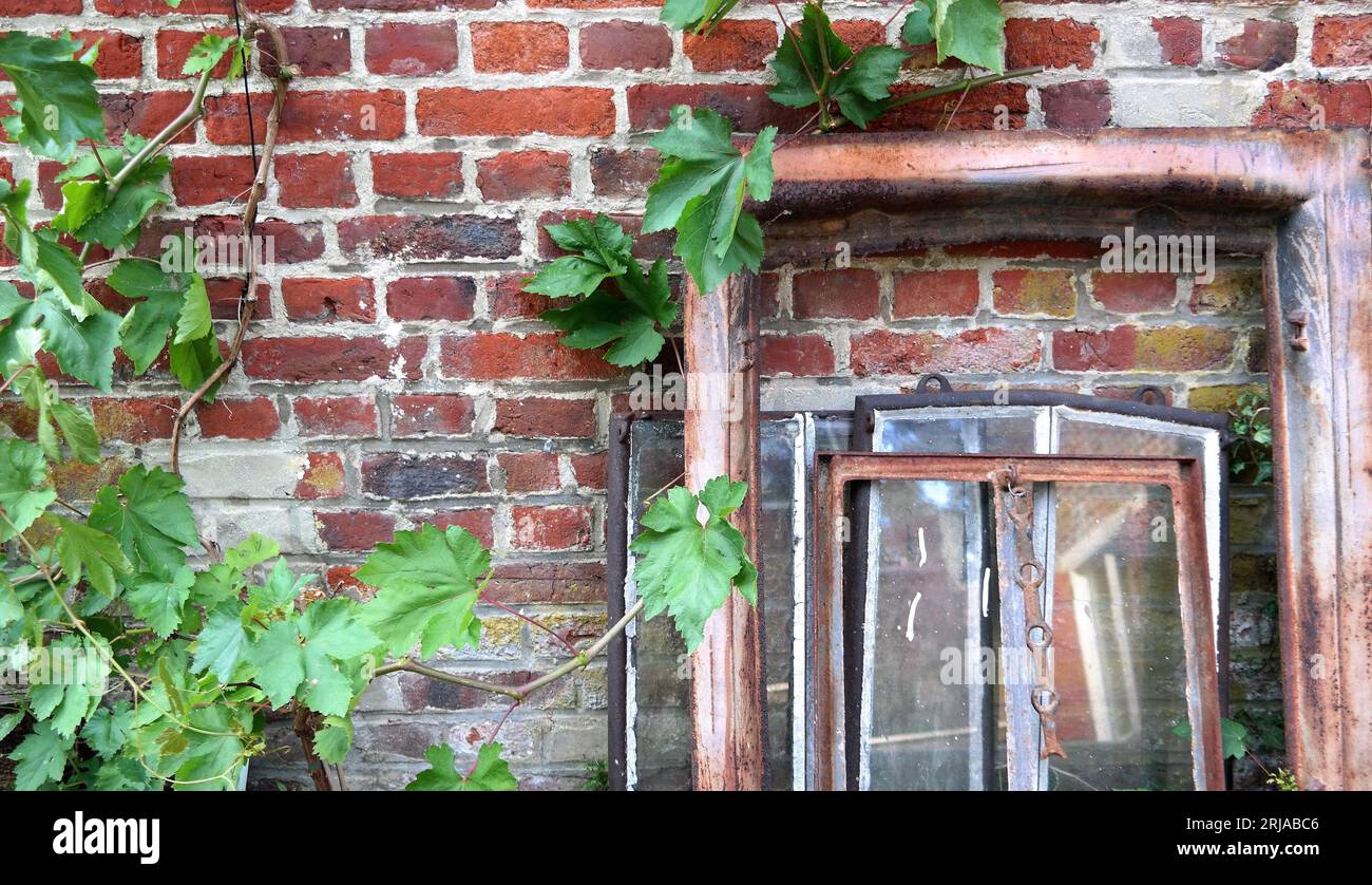 A pair of vintage window frames and old windows against a masonry wall ...