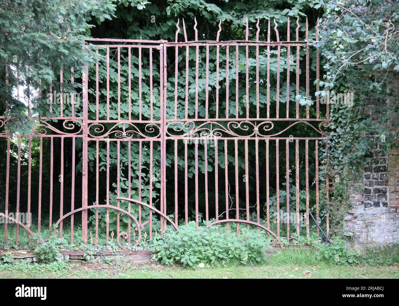 A dilapidated, aged metal entrance gate, A green creeper plant with an ...