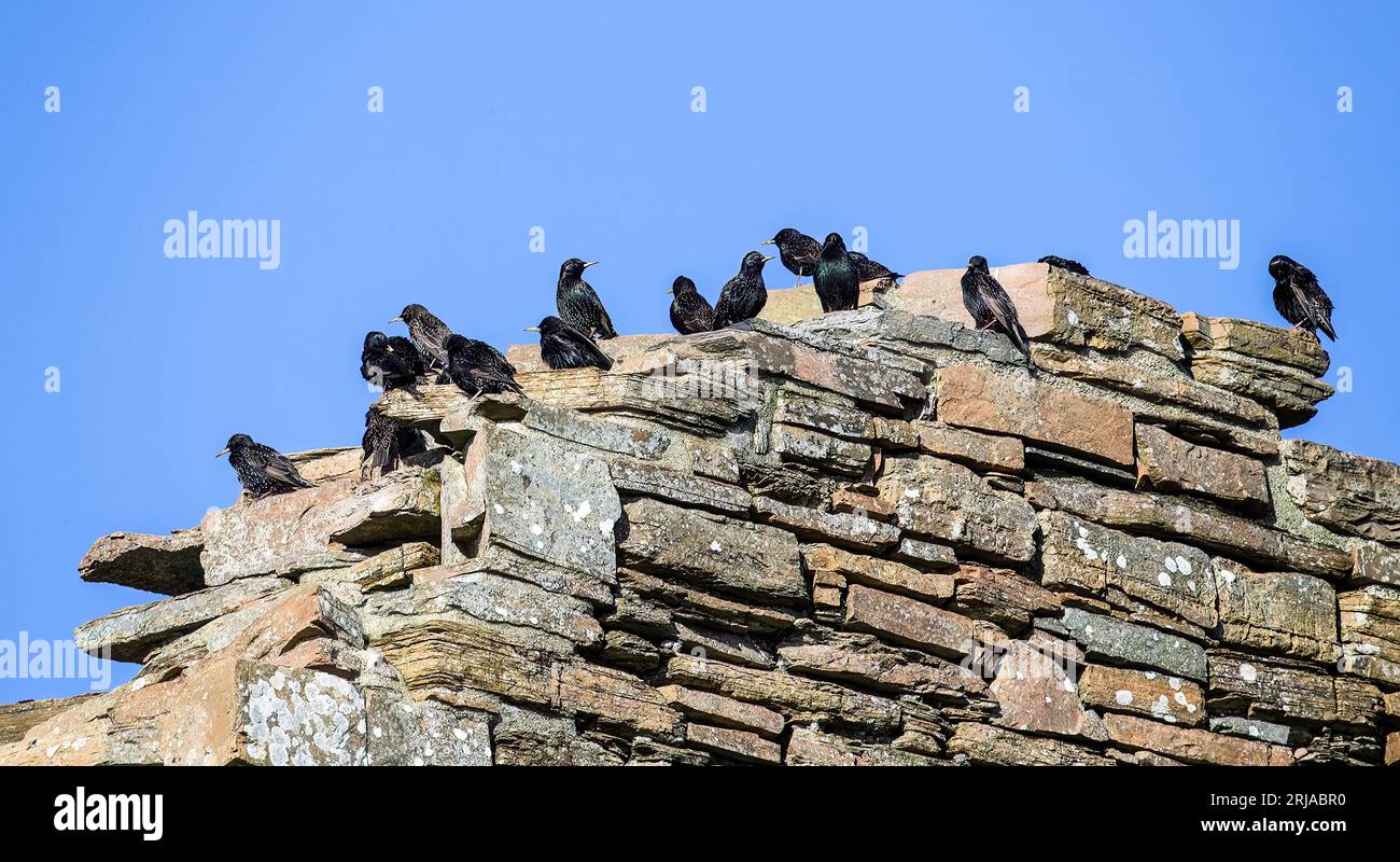 Aplenty hi-res stock photography and images - Alamy