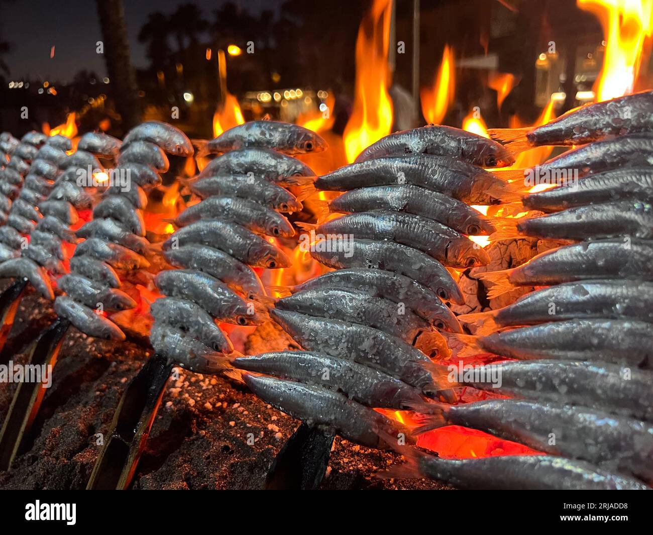 grilled sardines, typical dish of Malaga Stock Photo - Alamy