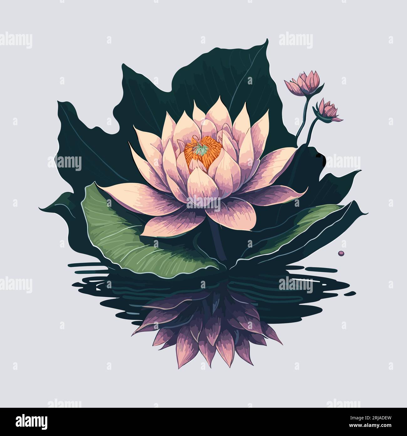 Beautiful water flower Stock Vector Images - Alamy