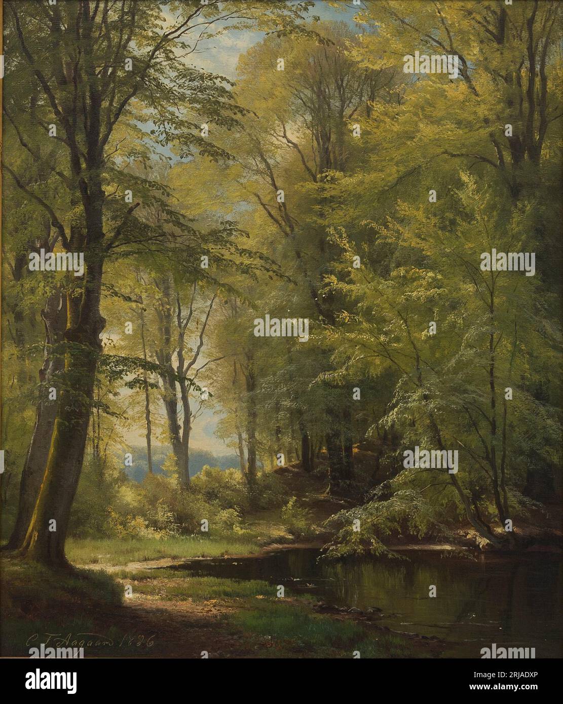Forest view. 1886 by Carl Frederik Aagaard Stock Photo - Alamy