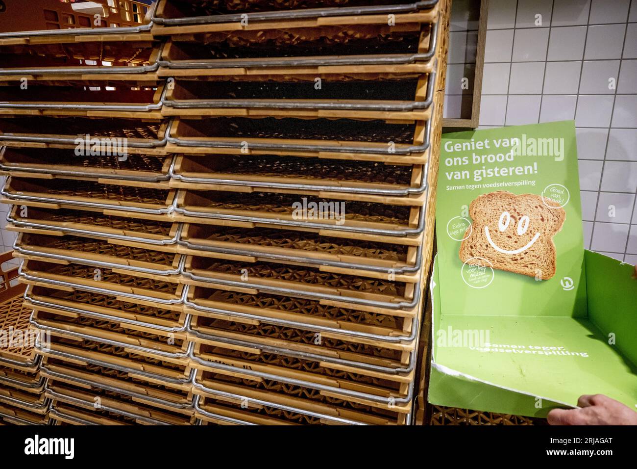 Broodkratten hi-res stock photography and images - Alamy