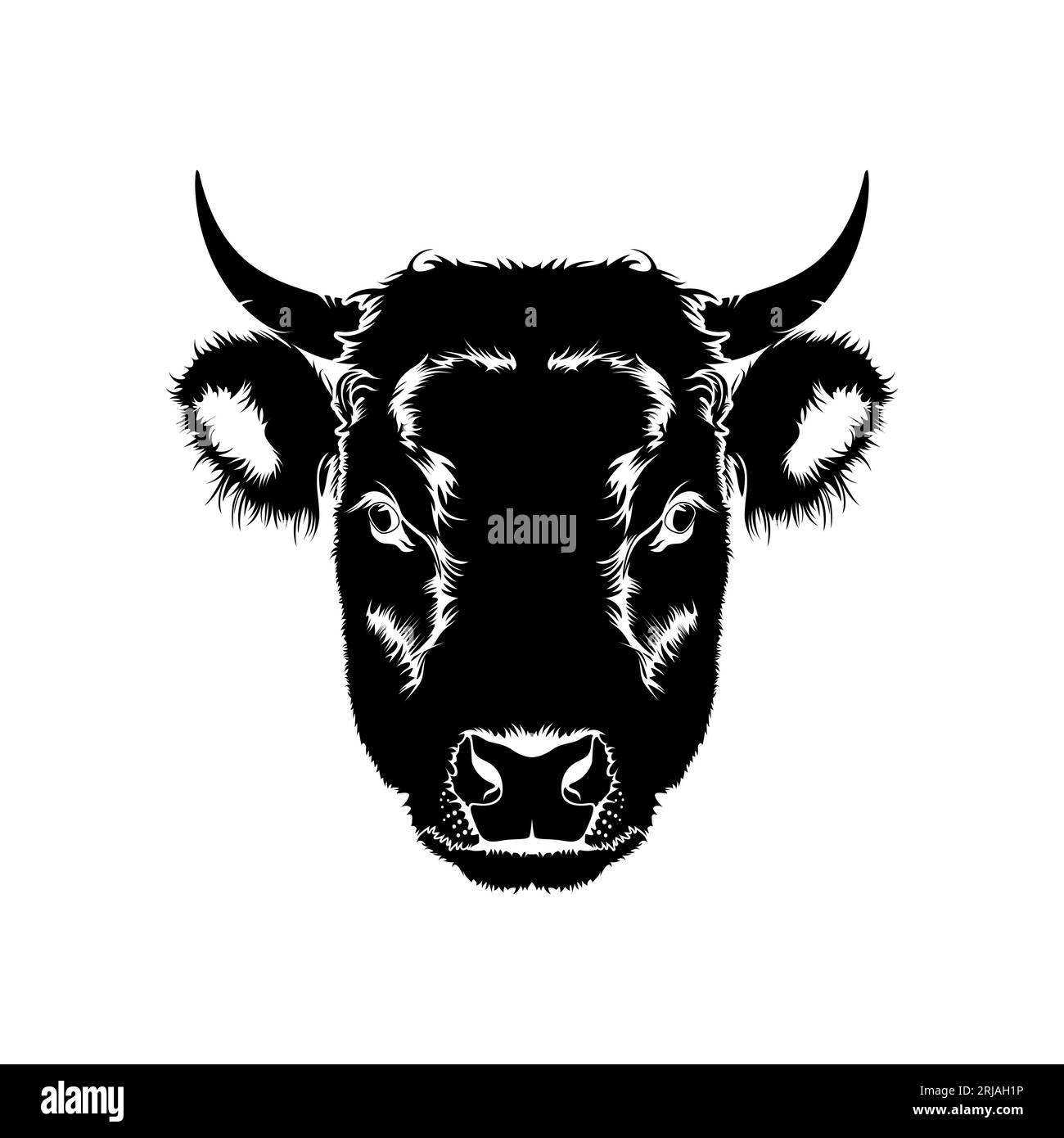 angus buffalo cow head vector, cow head logo design inspiration Stock ...