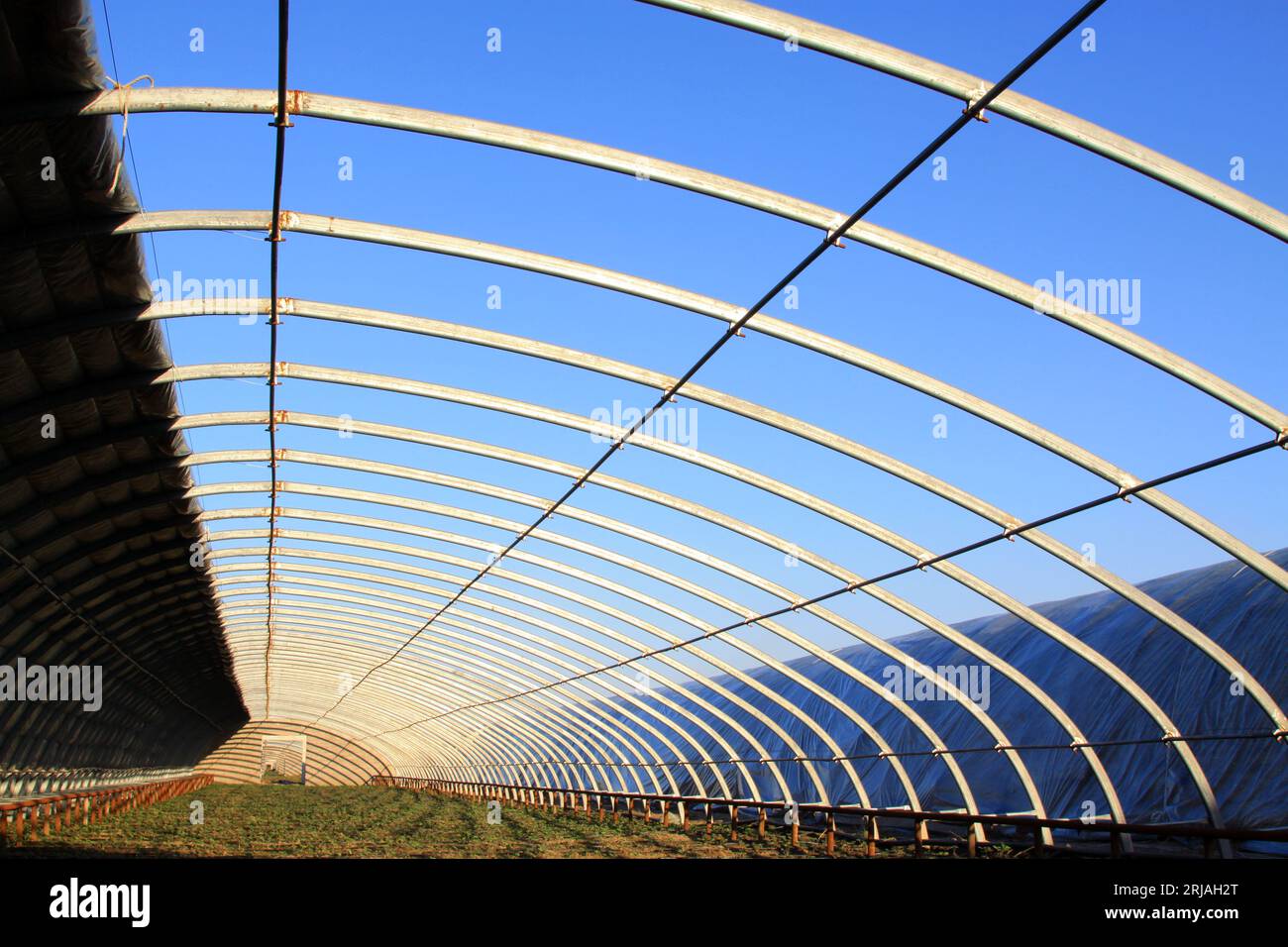 curved beams in a greenhouse, closeup of photo Stock Photo - Alamy