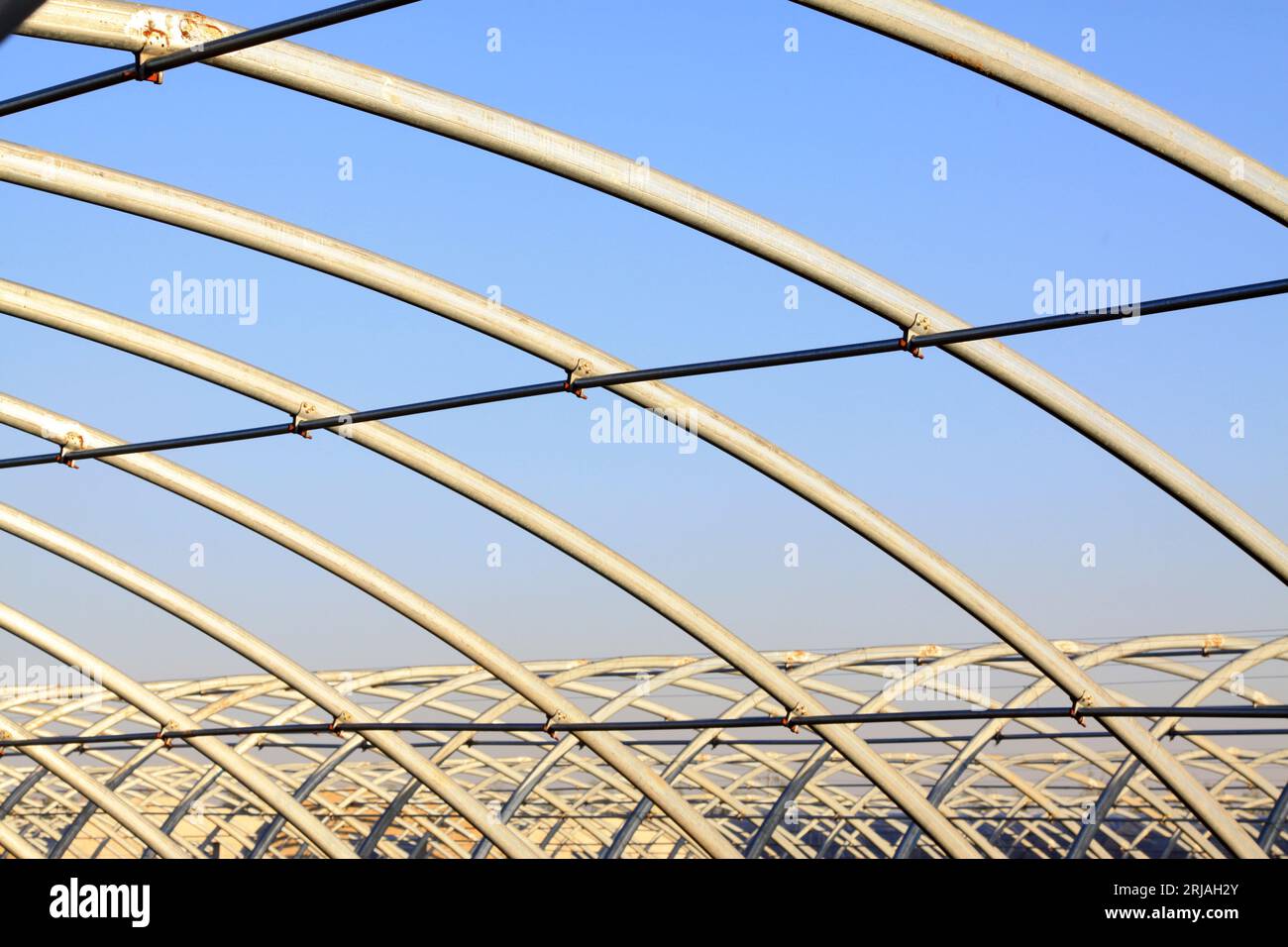 curved beams in a greenhouse, closeup of photo Stock Photo - Alamy