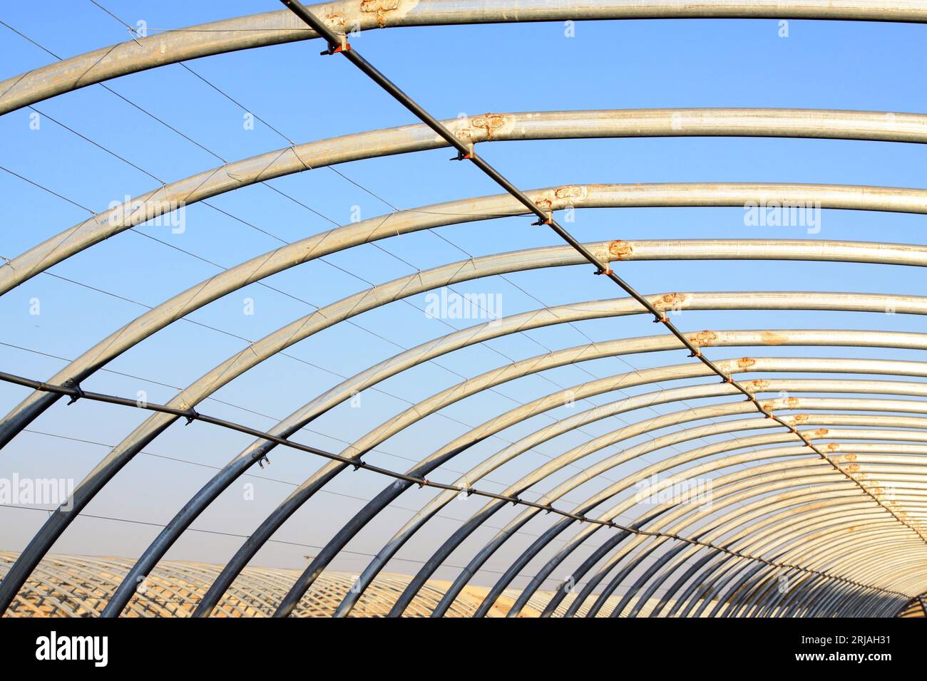 curved beams in a greenhouse, closeup of photo Stock Photo - Alamy