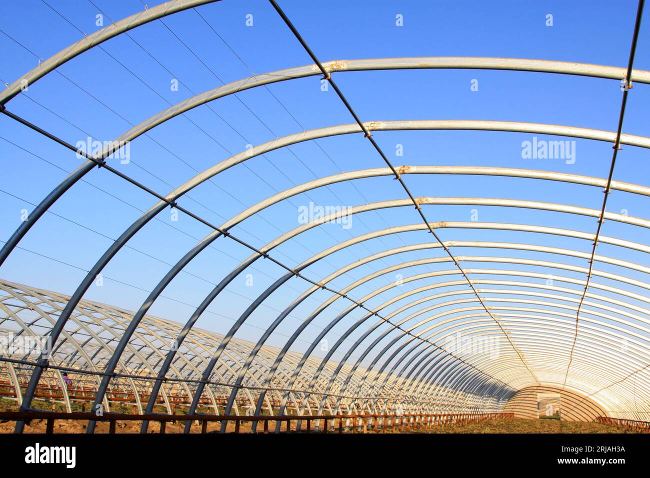 curved beams in a greenhouse, closeup of photo Stock Photo - Alamy