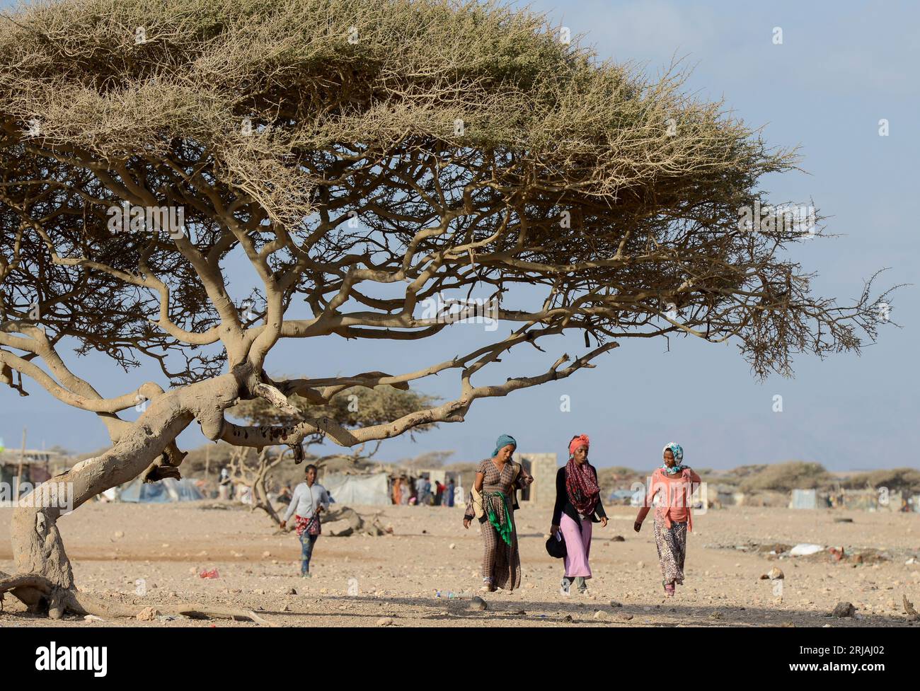 Tigray tigrinya menschen hi-res stock photography and images - Alamy