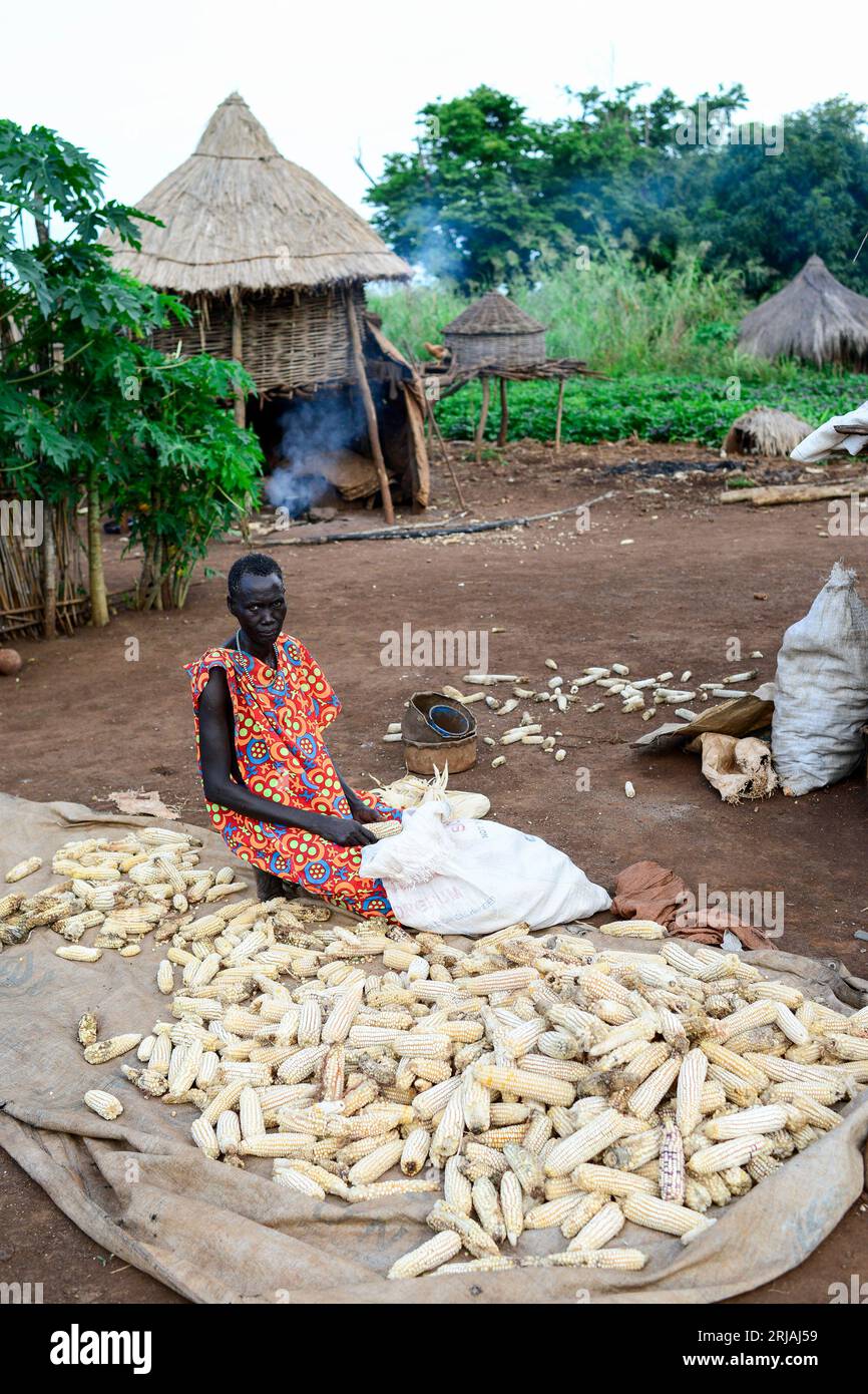 ETHIOPIA, Gambela, Anuak tribe, woman with maize harvest / AETHIOPIEN ...