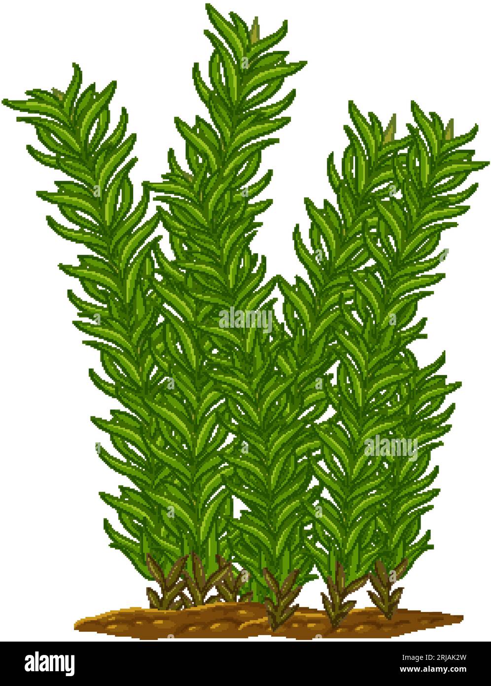Vector cartoon illustration of a moss plant on a white background Stock ...
