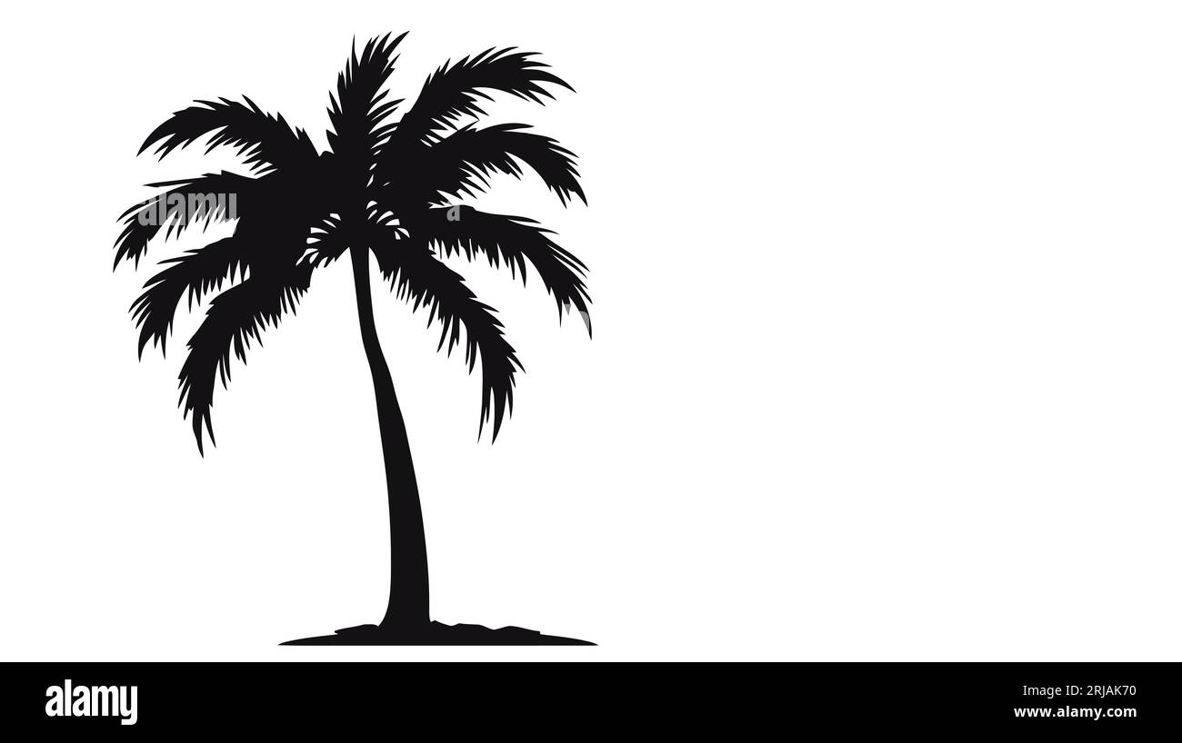 Tropical Palm Trees Black Silhouettes And Outline