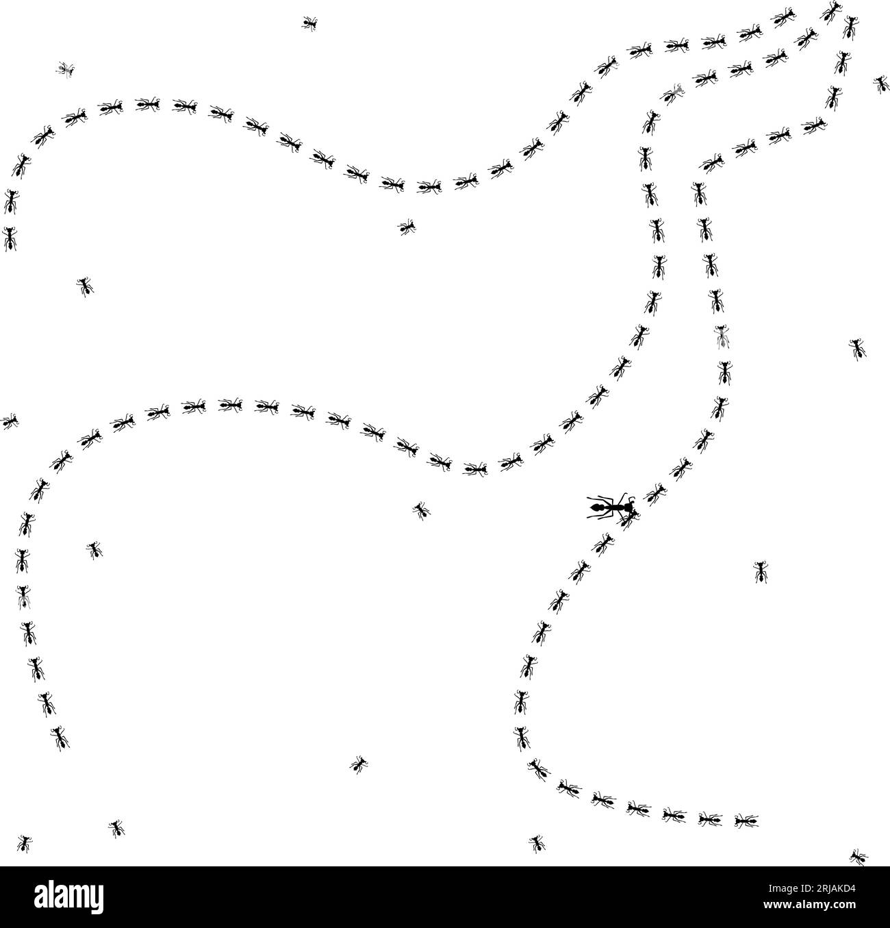 Ant trail illustration silhouettes. Insect path to the home Stock ...