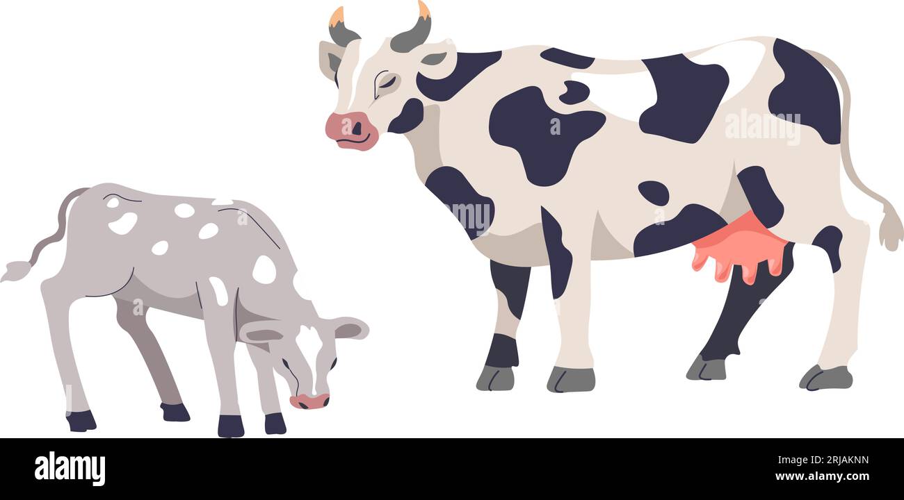 Livestock breeding, cattle cow and calf animals Stock Vector Image ...