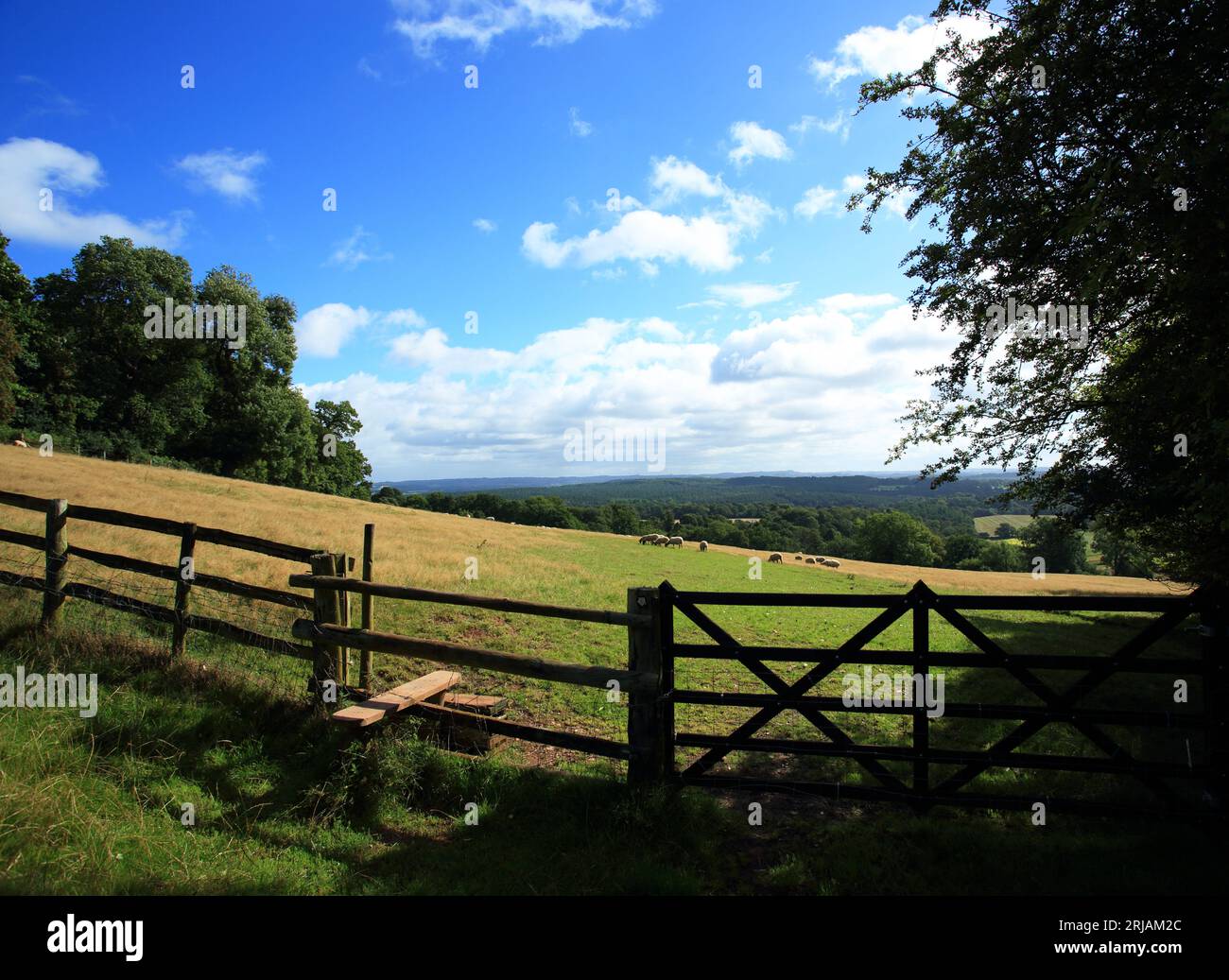 View from the Sheepwalks near Kinver, Staffordshire, England, UK Stock ...