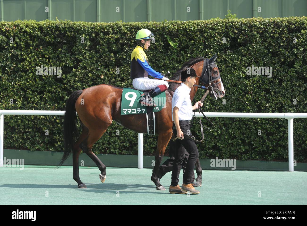 Fukuoka, Japan. 20th Aug, 2023. Mama Cocha and Katsuma Sameshima before ...
