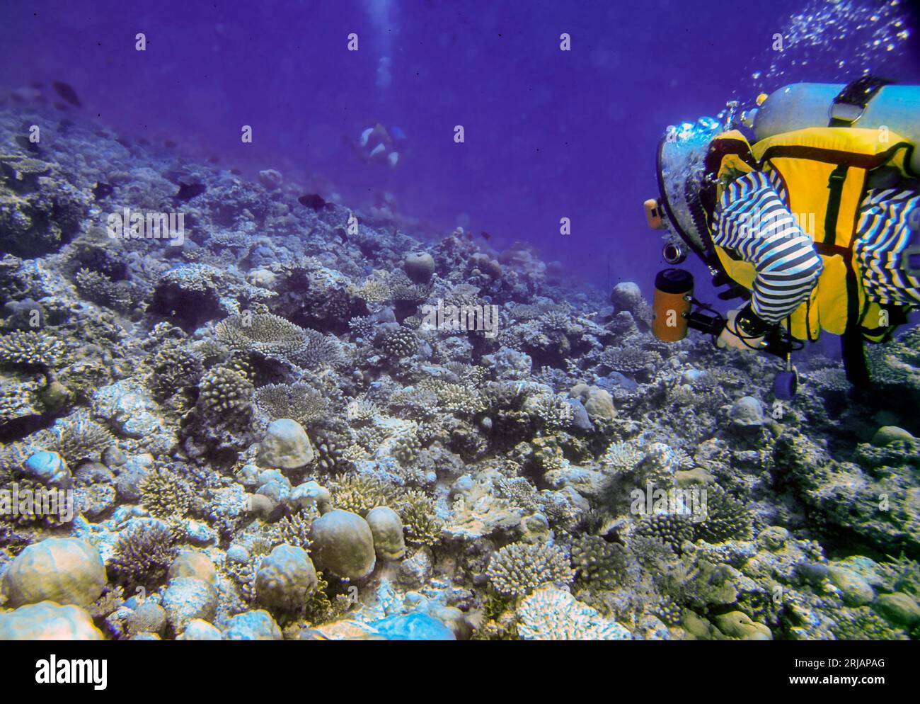 Malduives hi-res stock photography and images - Alamy