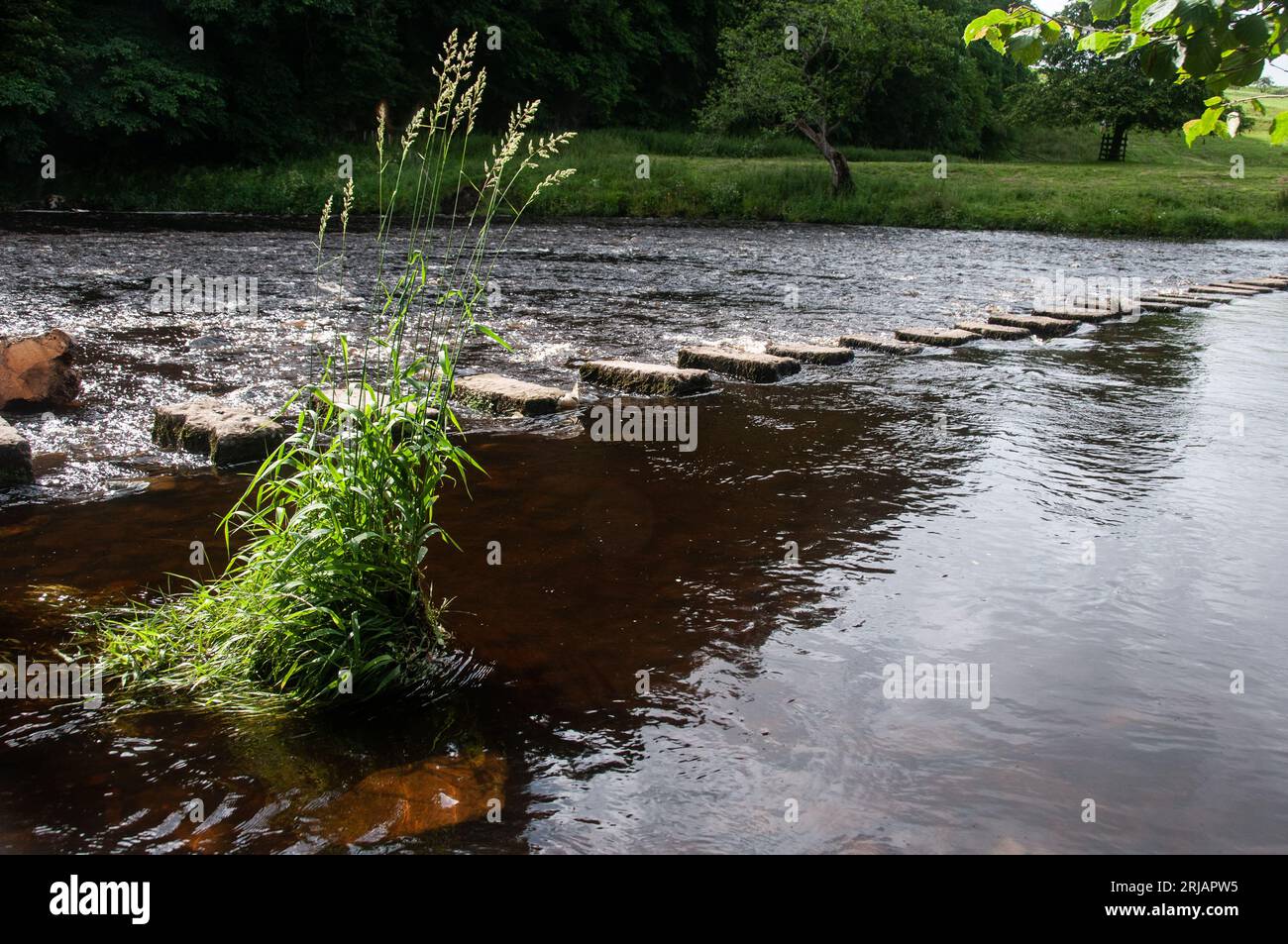 Whitewell and river hodder hi-res stock photography and images - Alamy