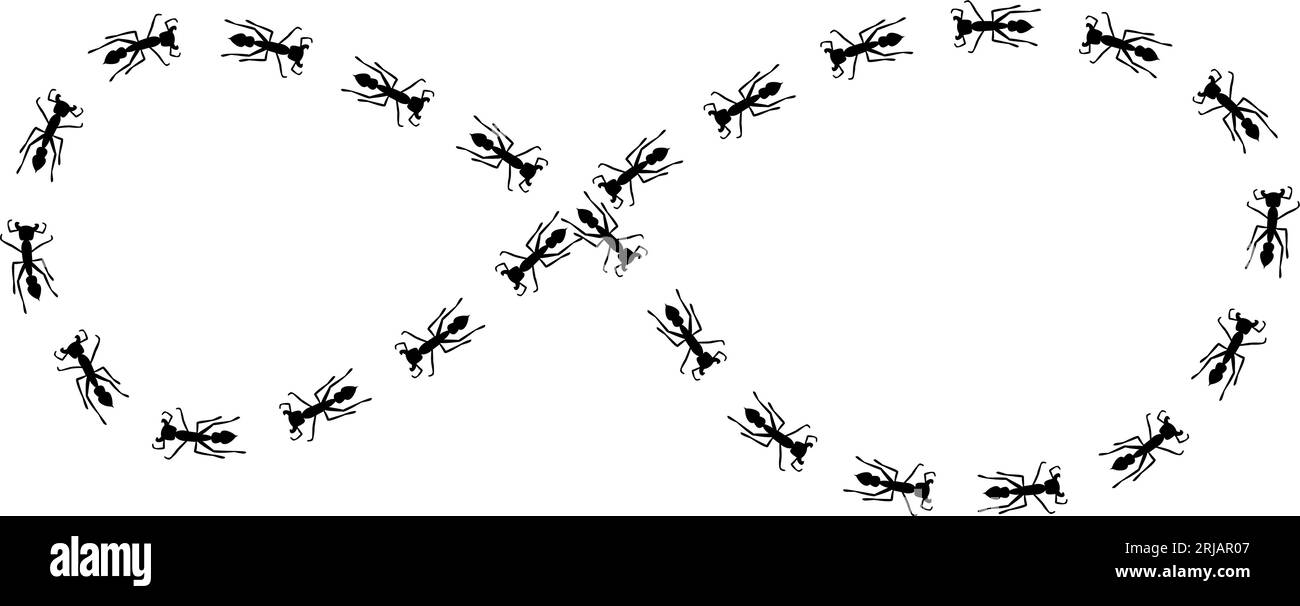 Ant silhouettes trail illustration in shape of infinity sign Stock ...
